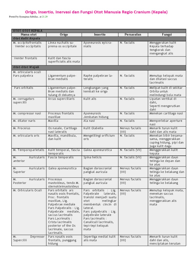 Perbedaan Origo dan Insersio Otot | PDF