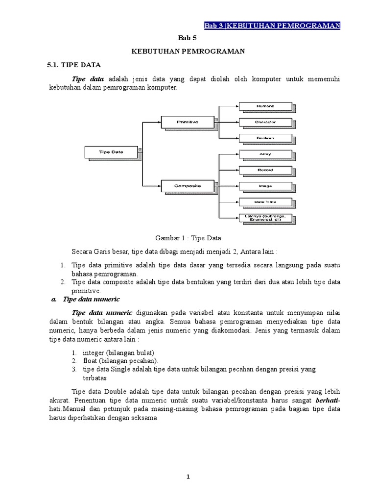Materi Kebutuhan Pemrograman (Tipe Data, Variabel, Konstanta) | PDF