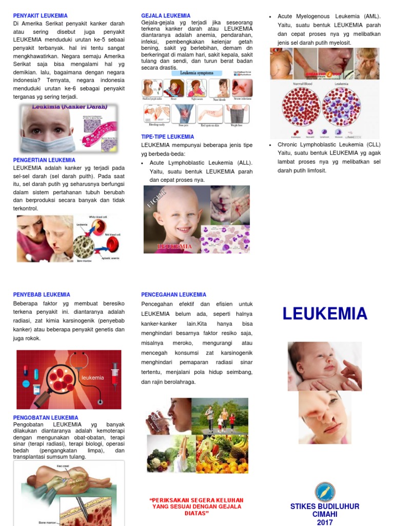 Leaflet Leukemia | PDF