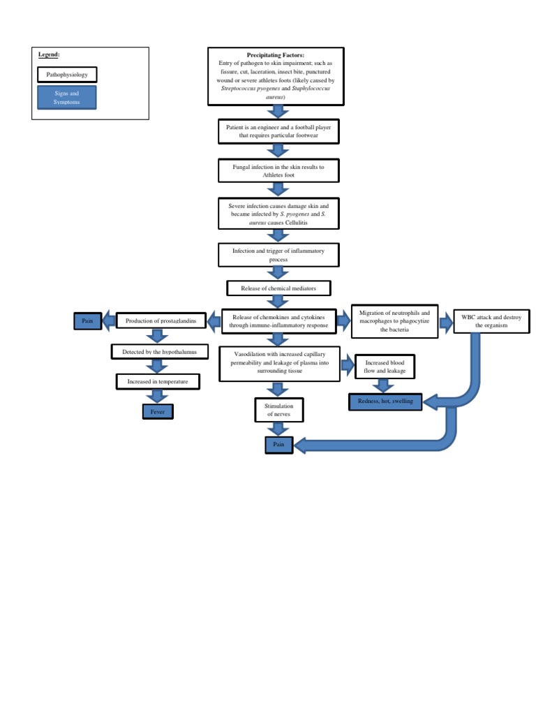 Cellulitis Pathophysiology Overview | PDF | Inflammation | Medical ...
