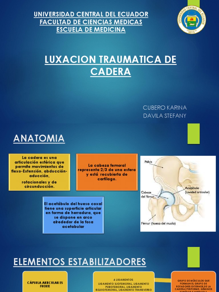 Luxacion de Cadera | PDF | Cadera | Sistema musculoesquelético