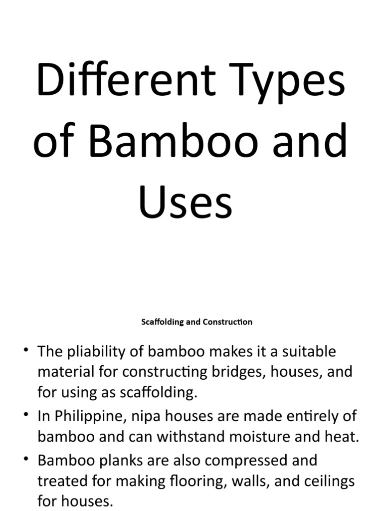 Types and Uses of Bamboo Species | PDF | Bamboo | Textiles