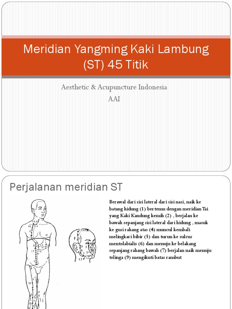 MEridian Yangming Kaki Lambung New | PDF