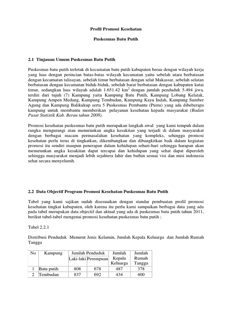 Contoh Profil Promkes | PDF