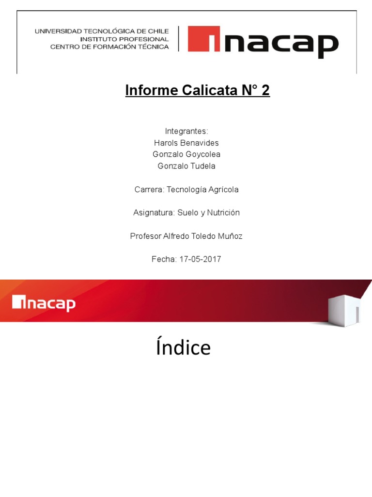Informe Final Calicata Numero 2 | PDF | Suelo | Science