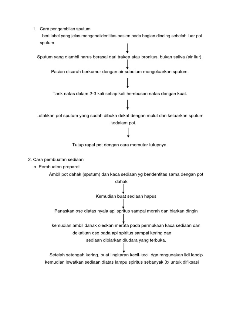 Skema Kerja Tes Sputum Bta Pada Penyakit TBC | PDF