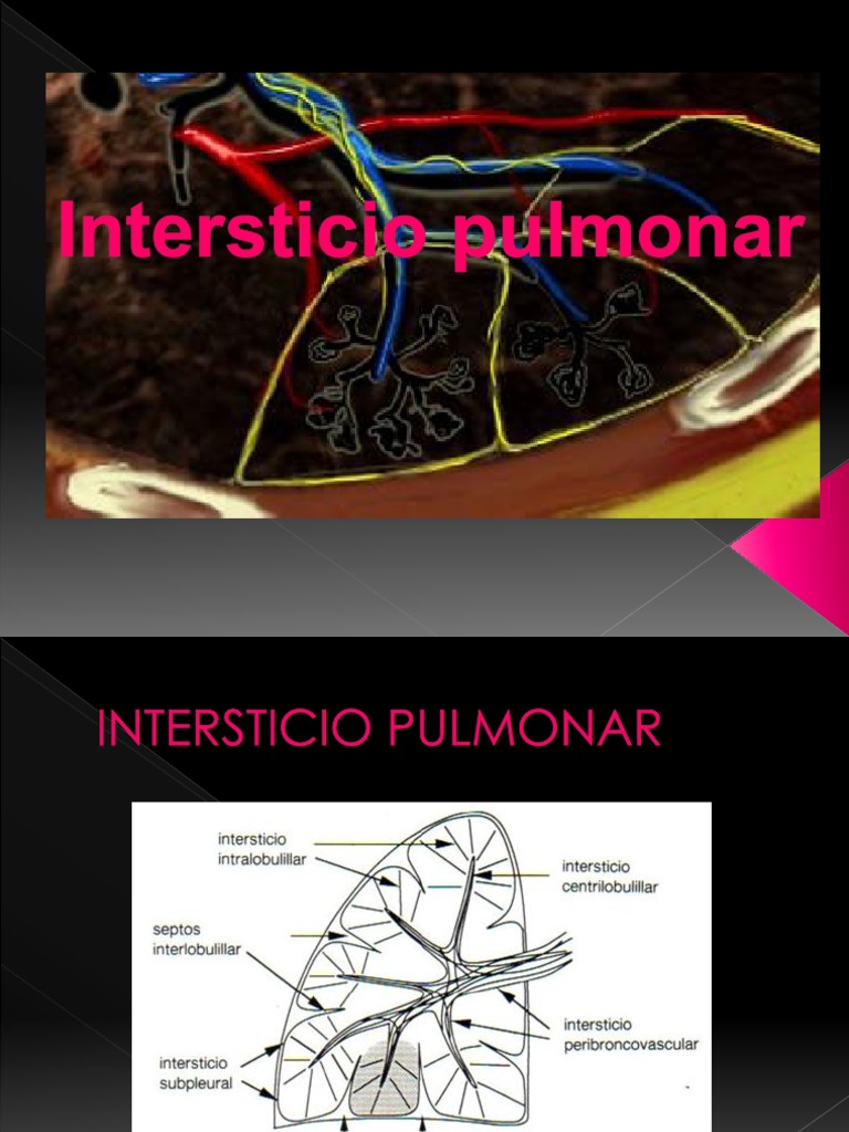Anatomia Pulmonar Normal | PDF | Pulmón | Órgano (anatomía)