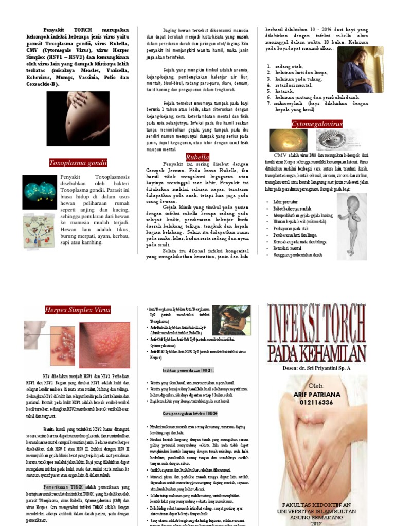 Leaflet Infeksi TORCH | PDF