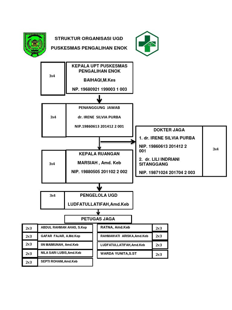 Struktur Organisasi Ugd | PDF