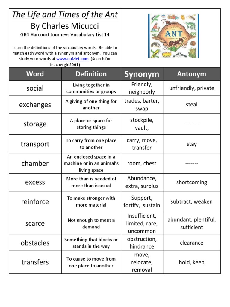 Life and Times of The Ant | PDF | Business