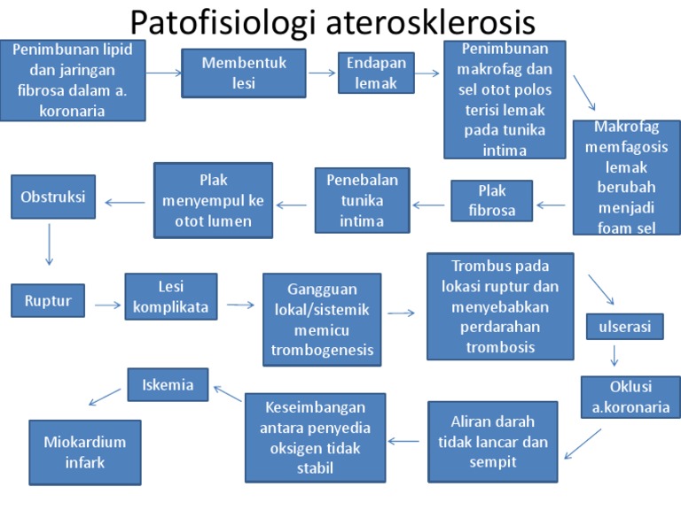 Patofisiologi Aterosklerosis Pdf