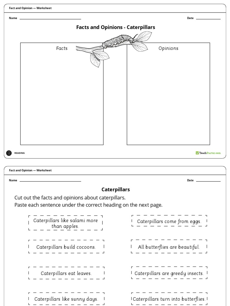 Caterpillar Facts and Opinions Worksheet | PDF