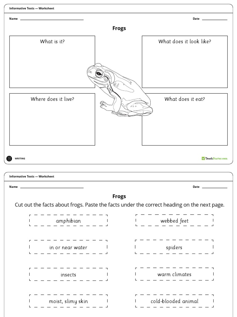 Teachstarter Informative Text Structure Sorting Activity Complete Set | PDF | Whales | Penguin