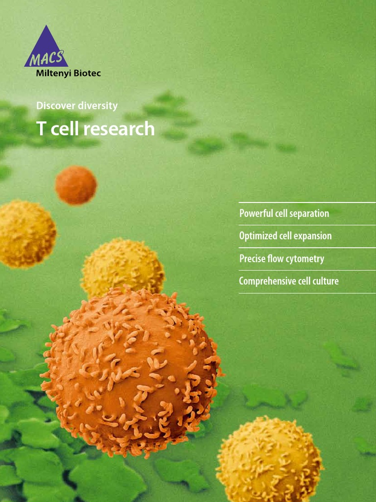 T Cell Flyer PDF | PDF | T Cell | Cell Biology
