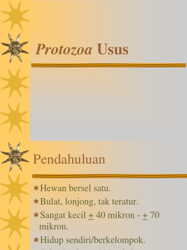 Protozoa Usus | PDF