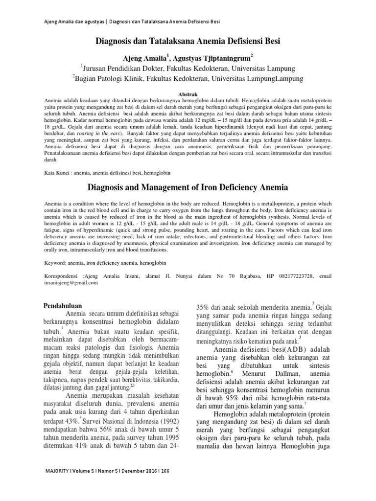 Tatalaksana Anemia Defisiensi Besi | PDF