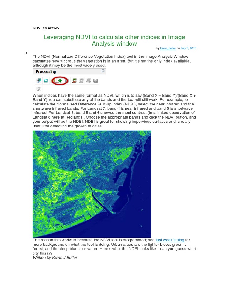 Leveraging NDVI To Calculate Other Indices in Image Analysis Window | PDF