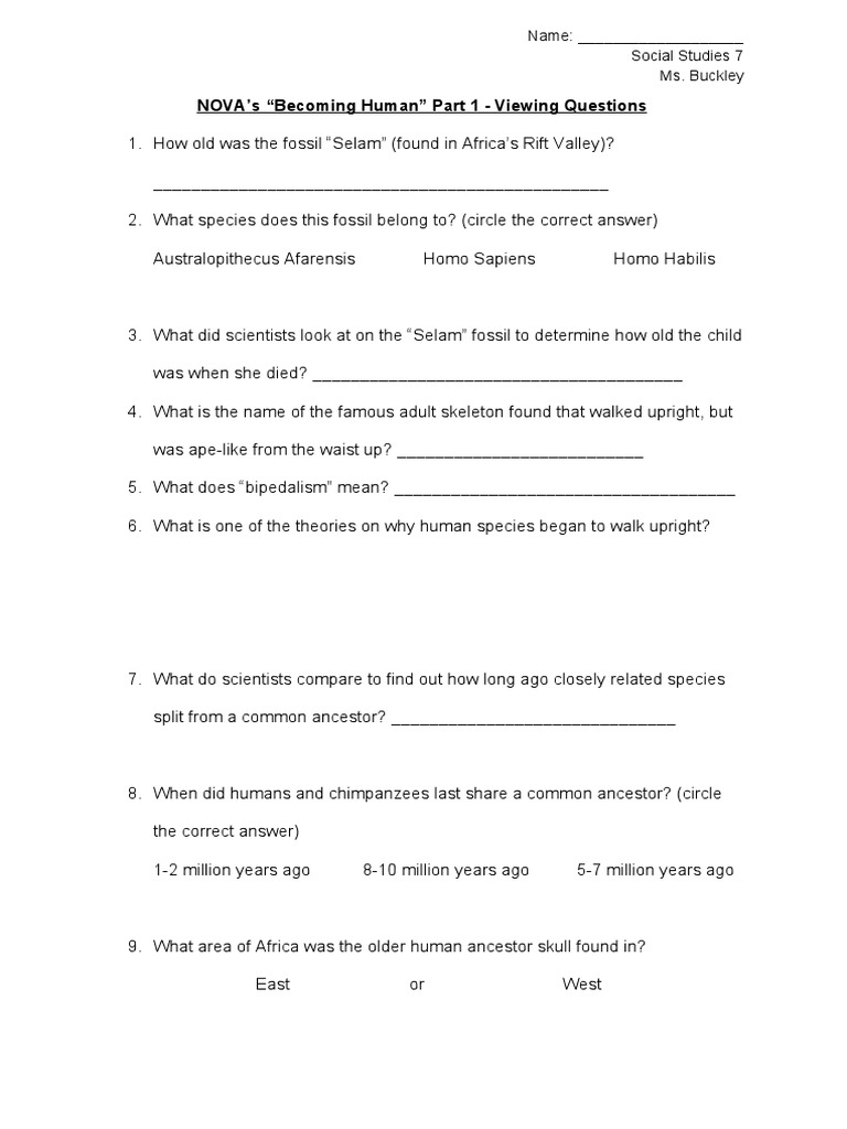 Nova Becoming Human Viewing Questions - Part 1 | PDF