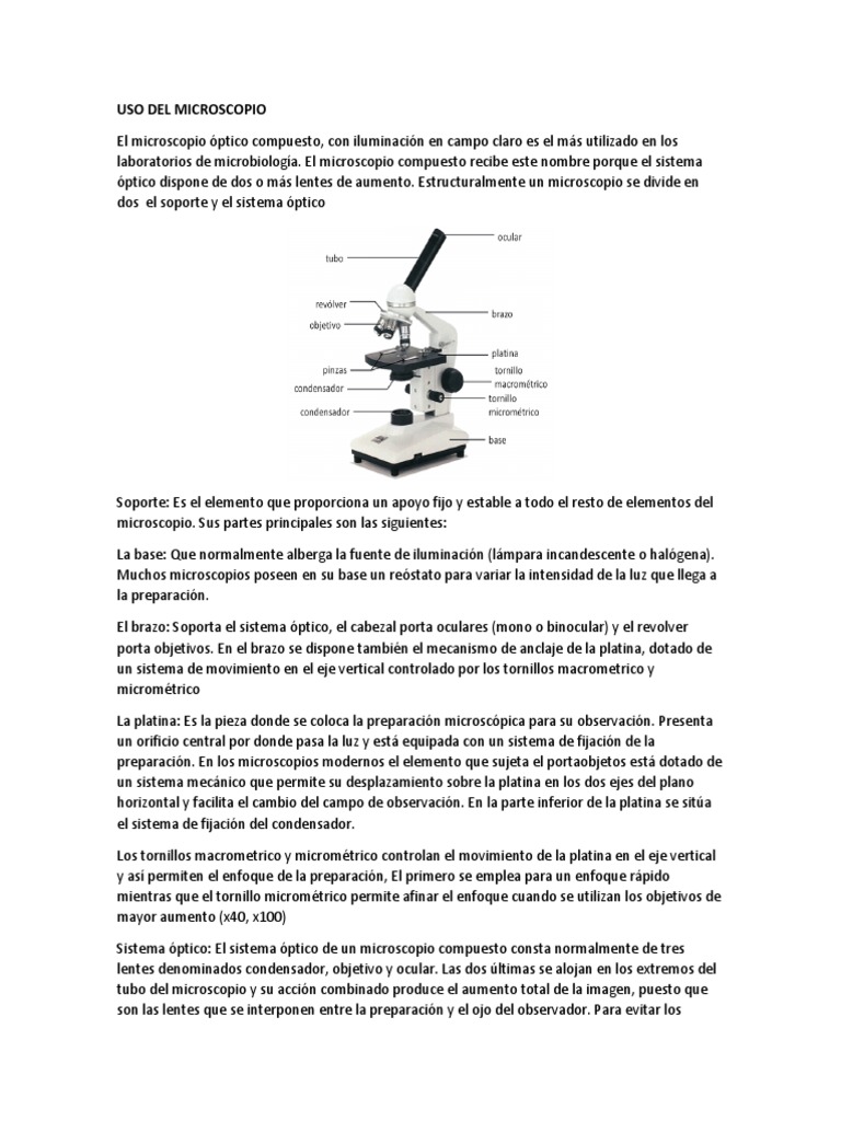 Uso Del Microscopio | PDF | Lente de la cámara | Tinción