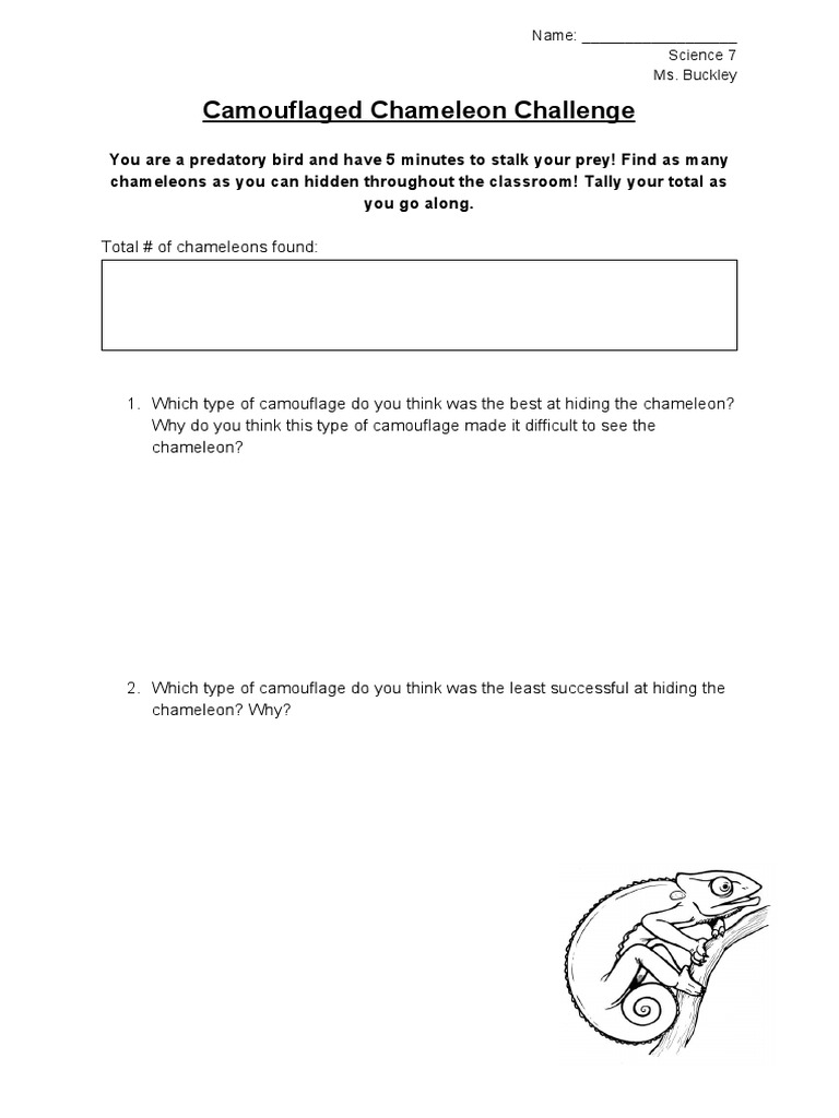 Camouflaged Chameleon Challenge | PDF