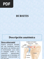 RPS Form Blanco | PDF