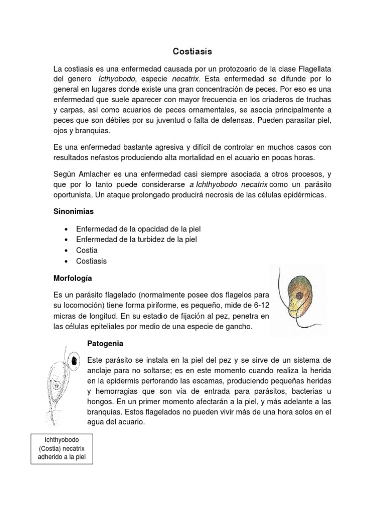 Costiasis | PDF | Pescado | Acuario