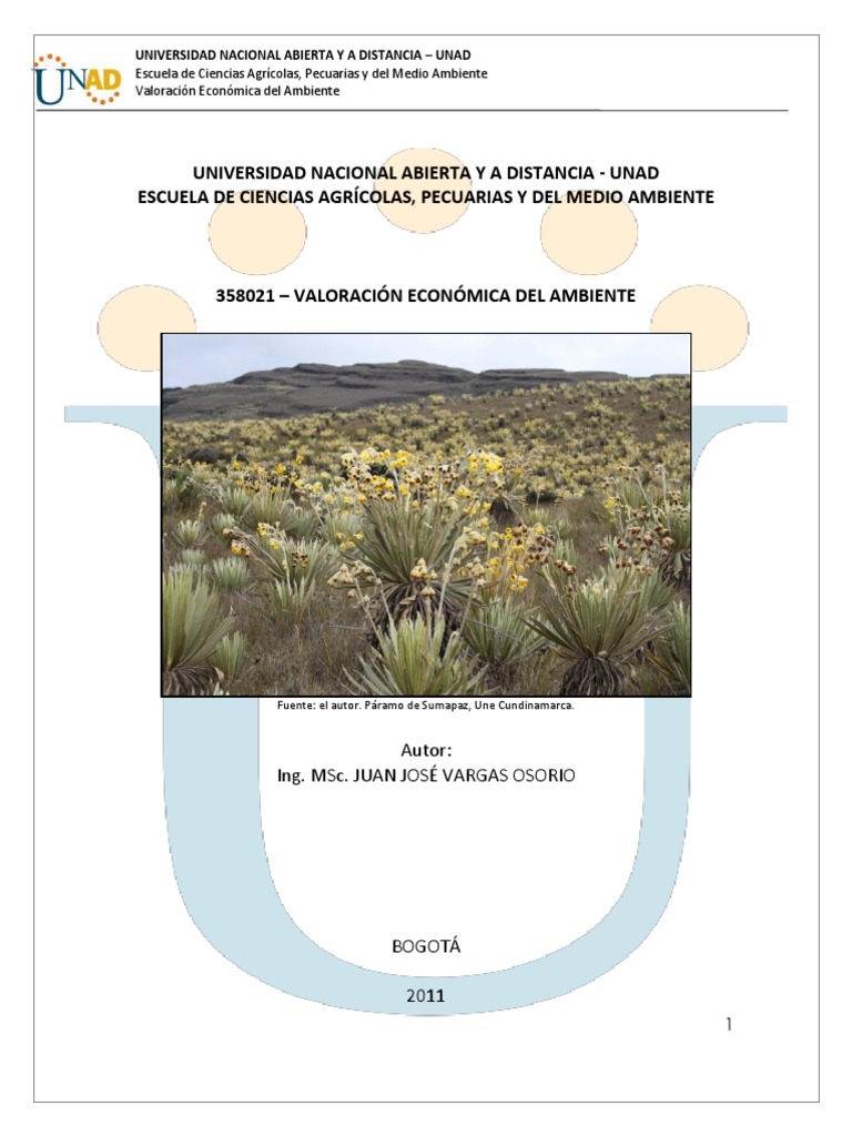 UNAD | PDF | Oferta (economía) | Curva de demanda