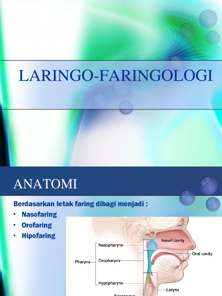 Laringo Faringologi | PDF | Kajian Bahasa Asing | Kesehatan Holistik