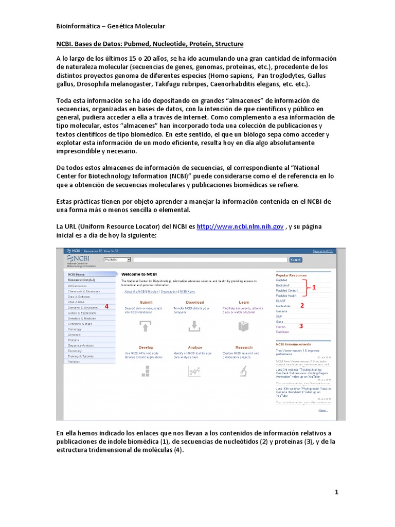 GM Guion Practica Bioinfo | PDF | Explosión | Bioinformática