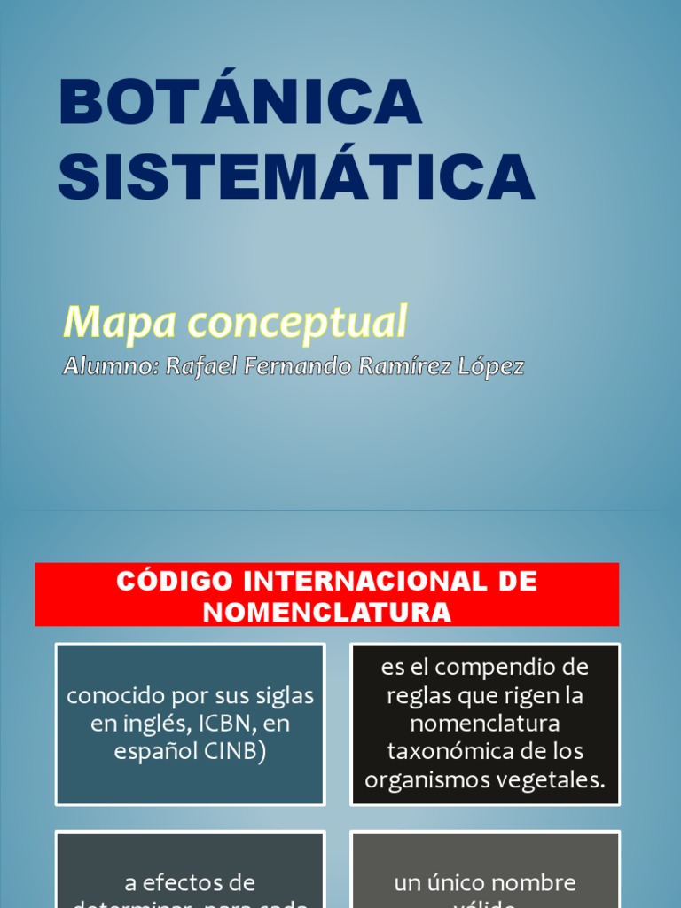 Mapa Conseptual de Botanica | PDF | Taxonomía (biología) | Botánica