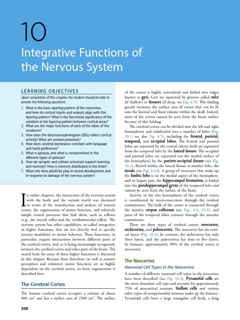 Integrative Functions of The Nervous System | PDF | Cerebral Cortex ...