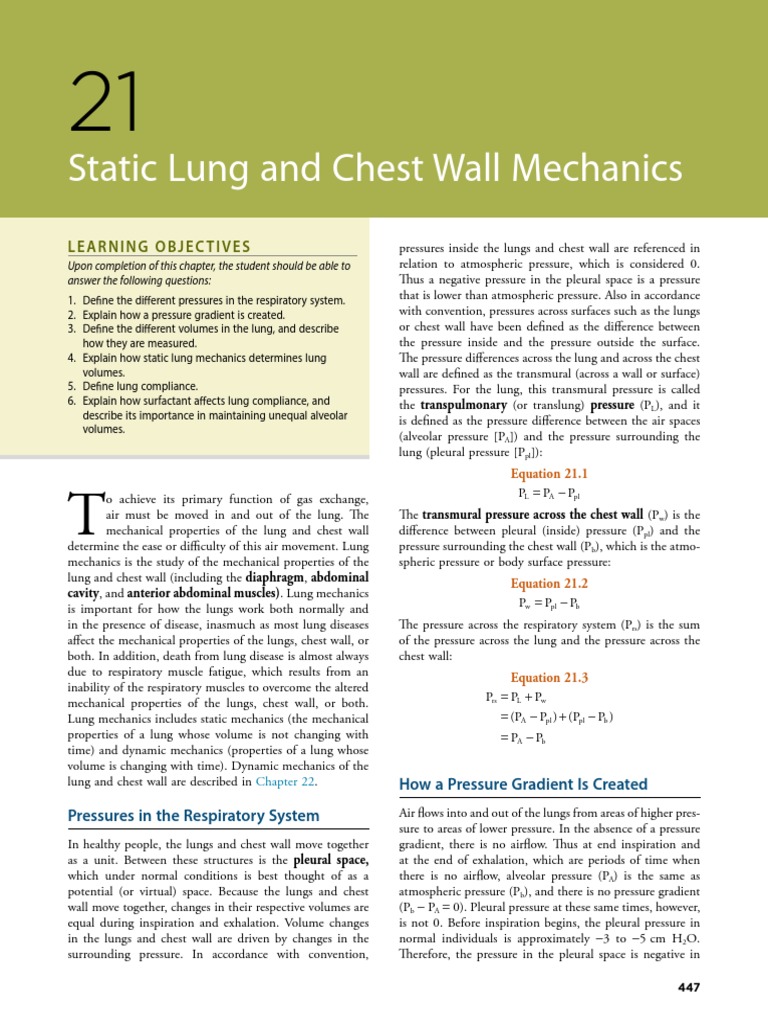 Static Lung and Chest Wall Mechanics | PDF | Lung | Exhalation