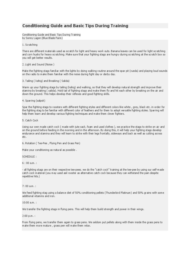 Conditioning Guide and Basic Tips During Training | PDF | Rooster | Leisure