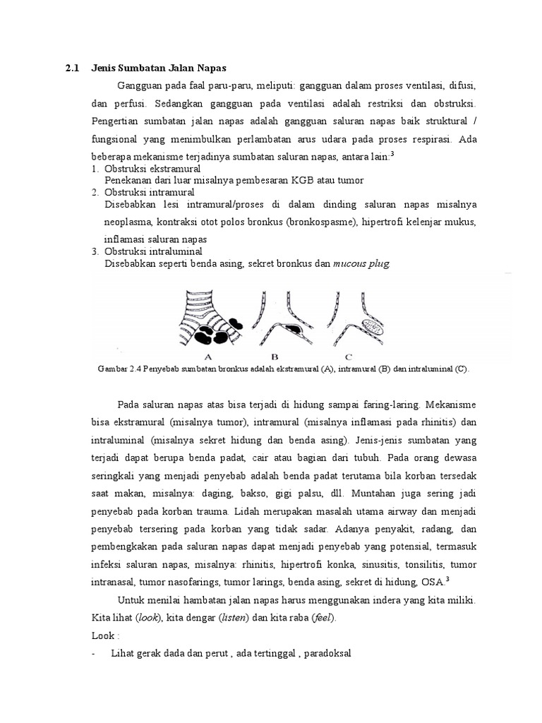 Jenis Sumbatan Jalan Napas | PDF | Kajian Bahasa Asing | Kesehatan Holistik