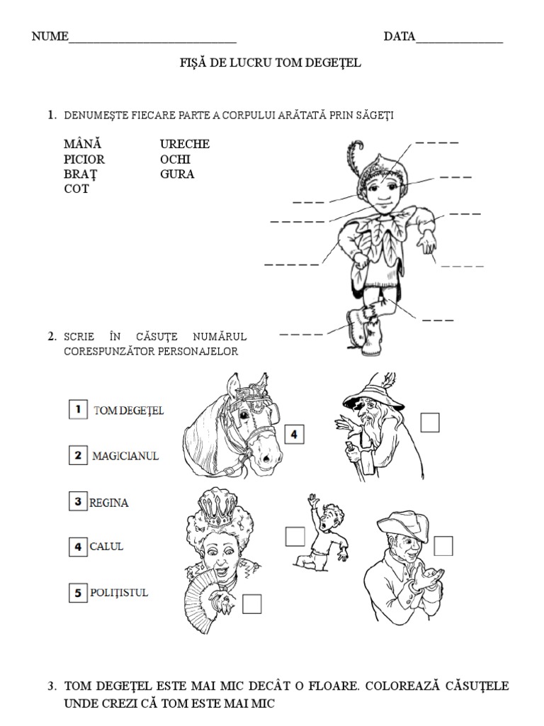 Fisa Tom Degetel | PDF