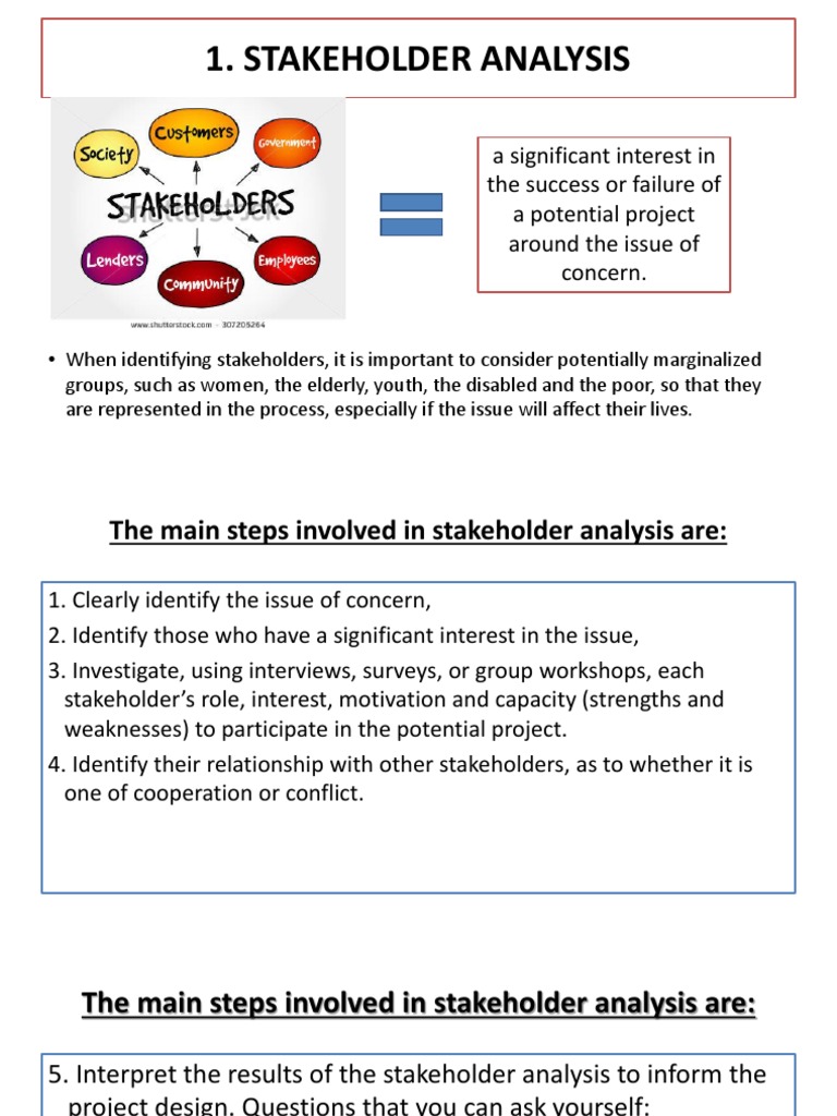 Stakeholder Analysis Process Guide | PDF | Stakeholder (Corporate ...