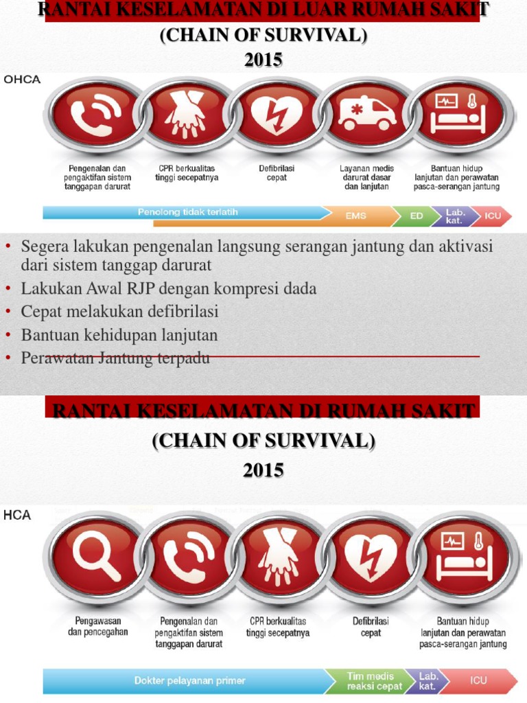 Chain of Survival BHD | PDF