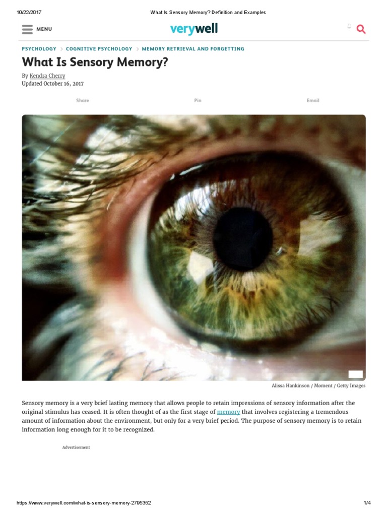 What Is Sensory Memory Definition And Examples Memory Recall Memory 