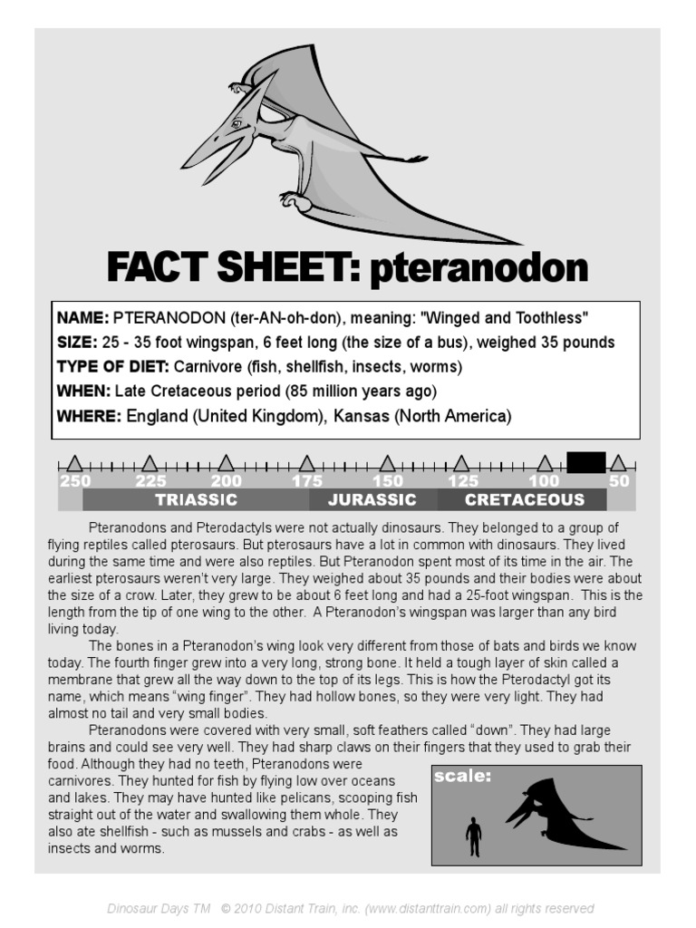 CRT Pteranodon Fact