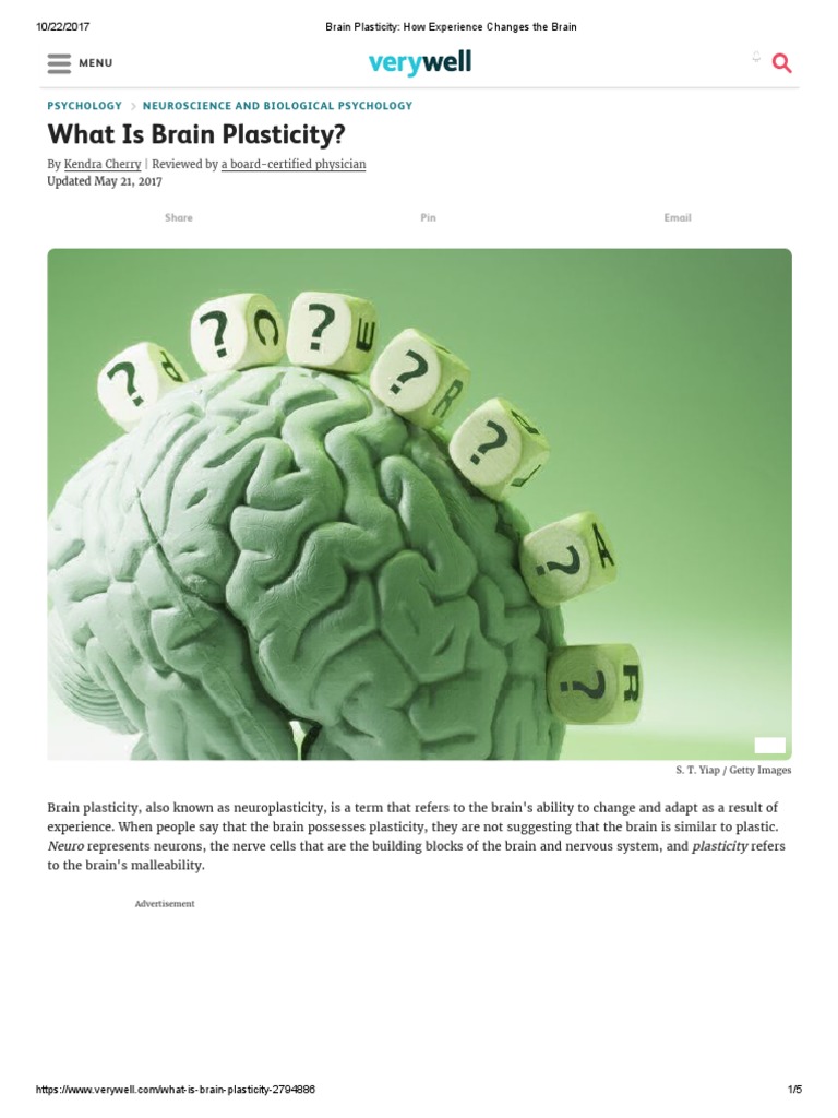 Understanding Brain Plasticity | PDF | Neuroplasticity | Brain