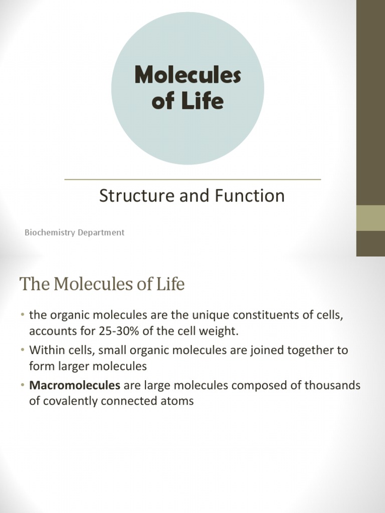 Molecules of Life: Structure and Function | PDF | Nucleotides | Lipid