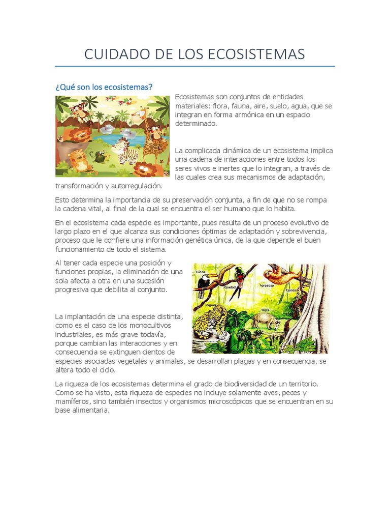 Cuidado de Los Ecosistemas | Ecosistema | Plancton