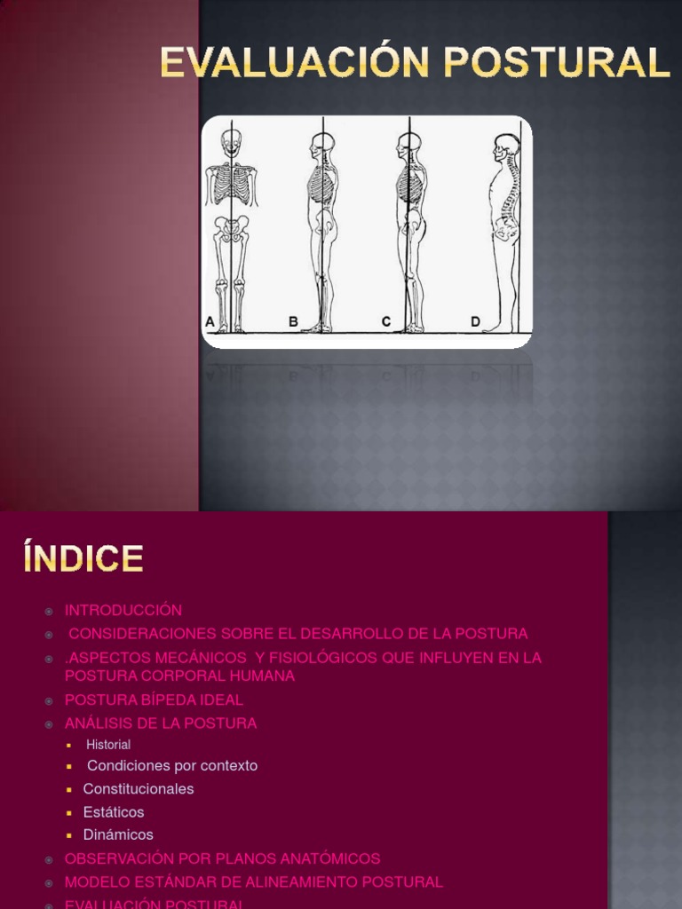 Evaluación Postural | PDF | Pie | Pelvis