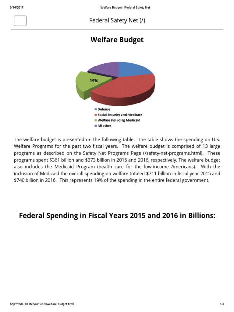 Federal Safety Net 17 | PDF