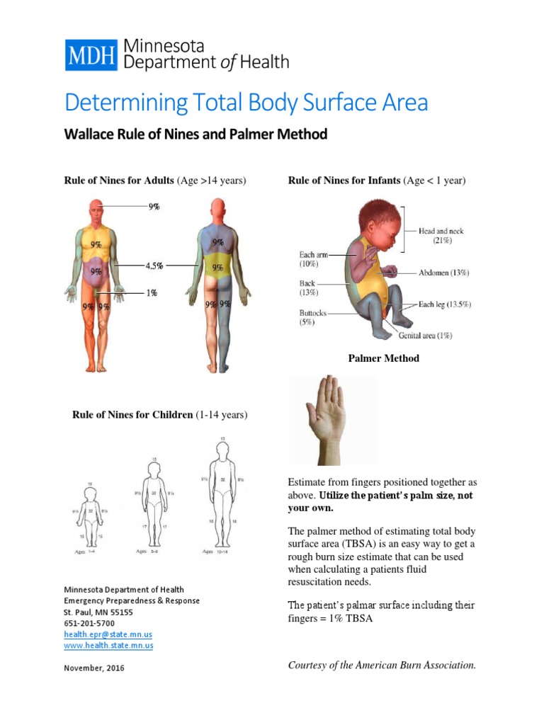 Total Body Surface Area Estimation Methods | PDF