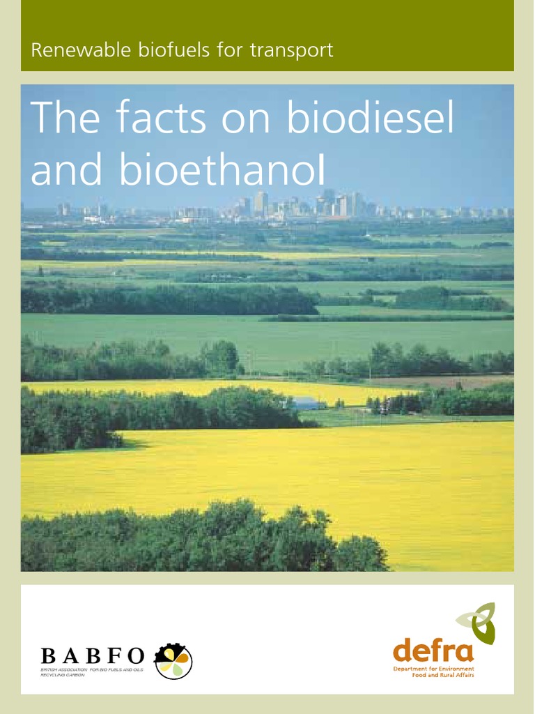 The Facts On Biodiesel and Bioethanol: Renewable Biofuels For Transport ...