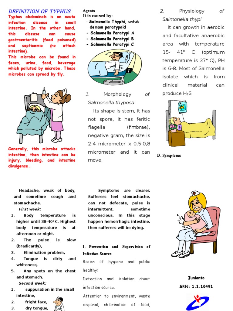 It Is Caused By:: Definition of Typhus | PDF | Salmonella | Foodborne ...