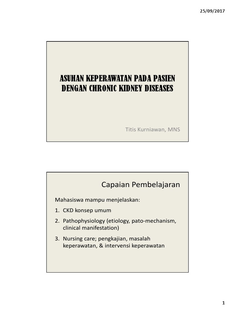 Asuhan Keperawatan Pada Pasien Dengan Chronic Kidney Diseases | PDF ...