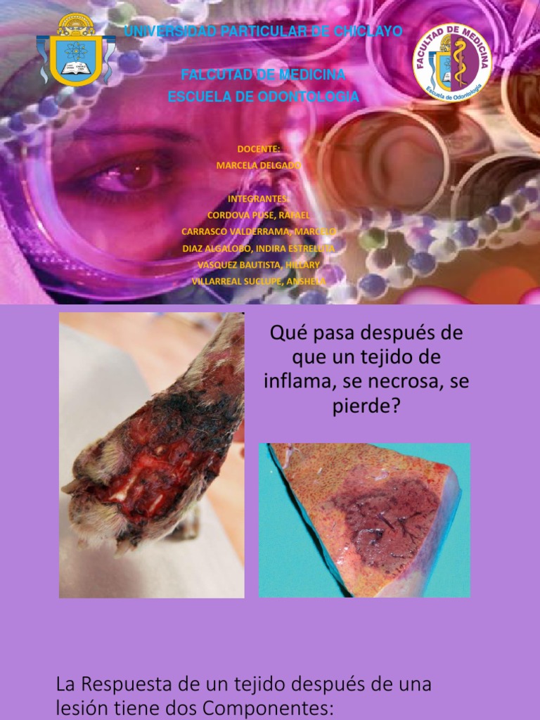Reparacion Celular. Cicatrizacion Fisiopatologia Del Proceso de ... Reparacion Celular. Cicatrizacion Fisiopatologia Del Proceso de ...