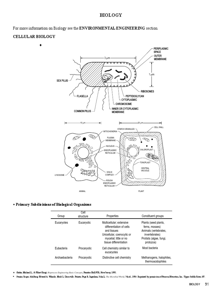 Cellular Biology: A Visual Breakdown of Primary Biological Subdivisions ...
